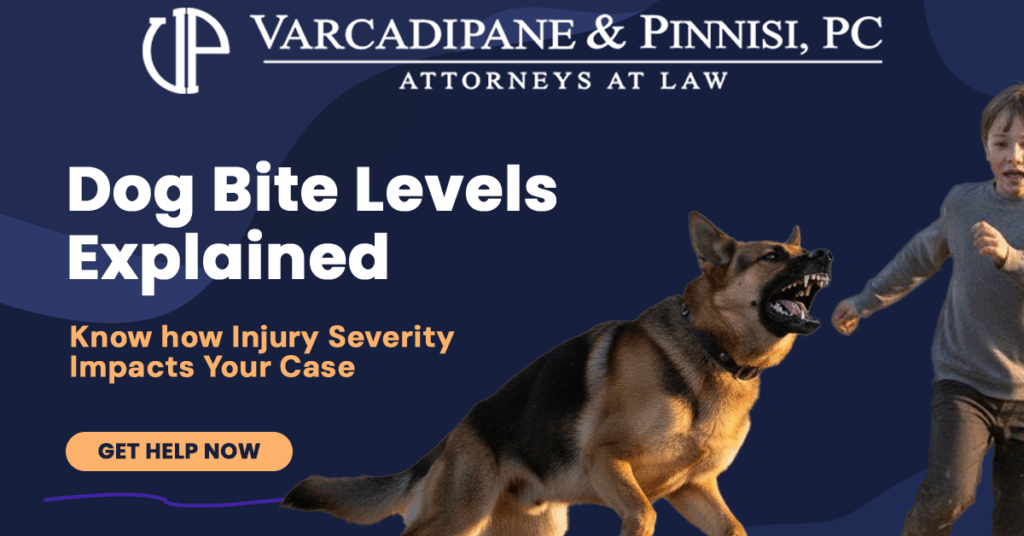 Dog Bite Levels Explained: How Injury Severity Impacts Your Case ...